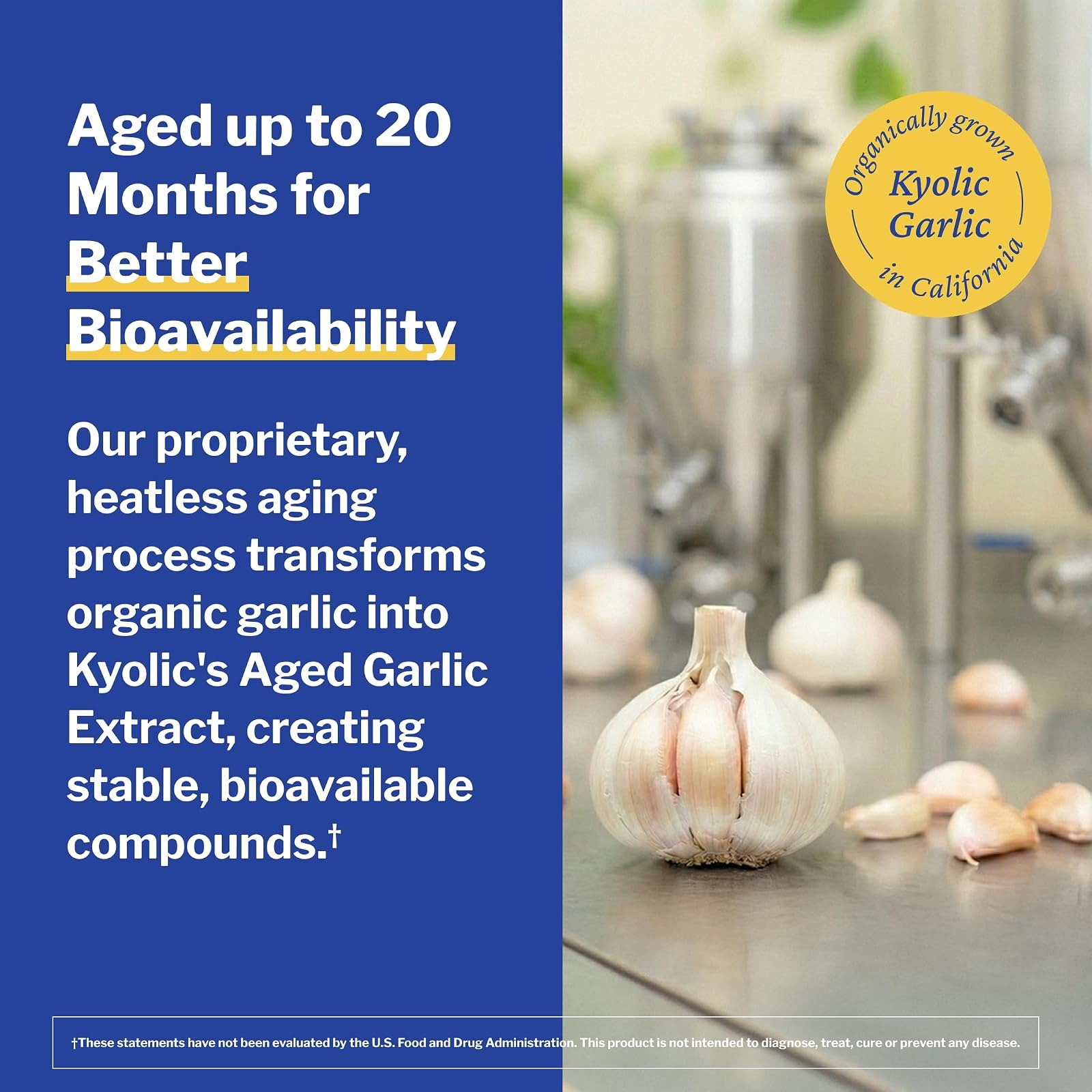 Kyolic aged garlic for digestive health