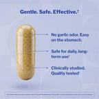 Kyolic garlic capsules for digestion