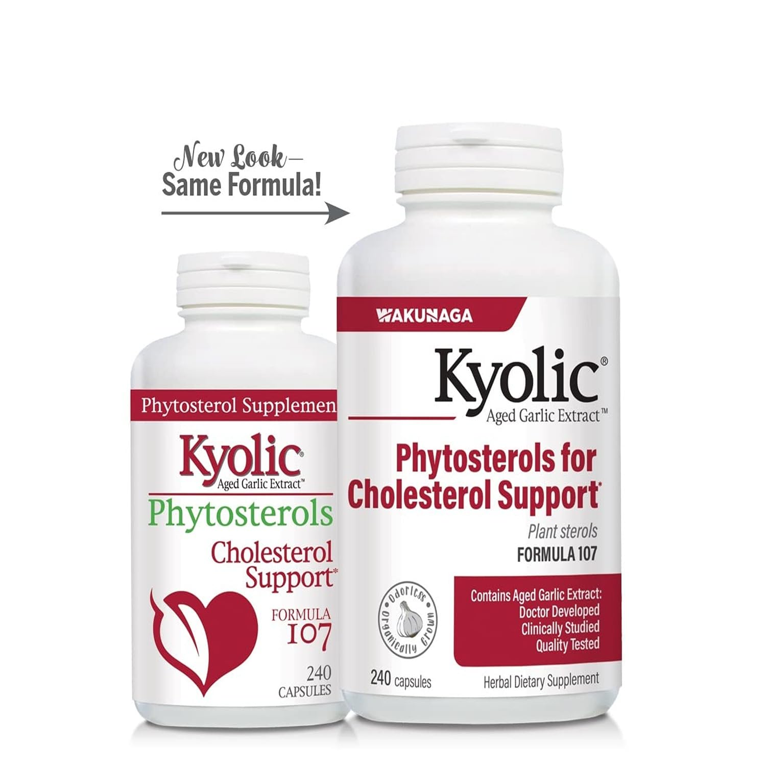 Kyolic garlic capsules for overall wellness