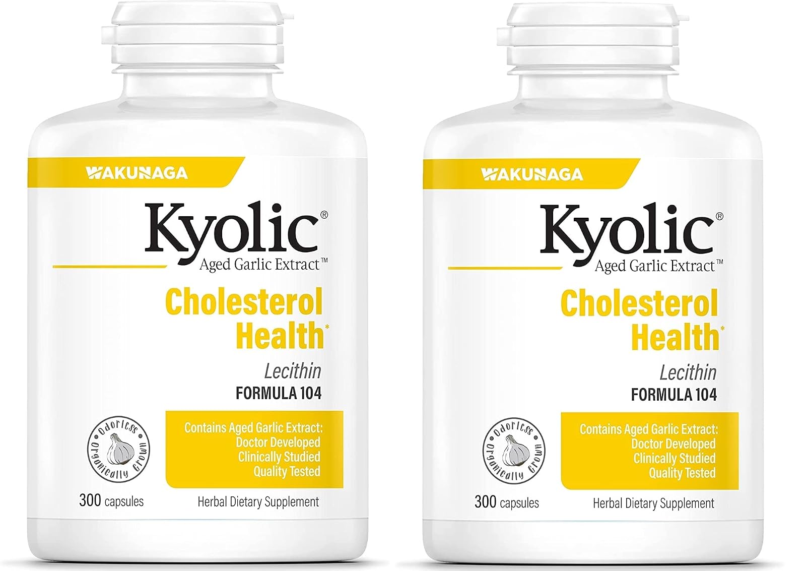 Kyolic garlic extract benefits for health