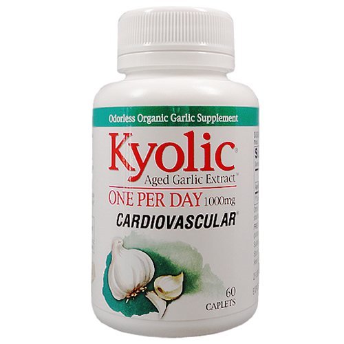 Kyolic garlic extract health benefits