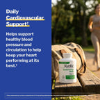 Kyolic garlic extract immune support