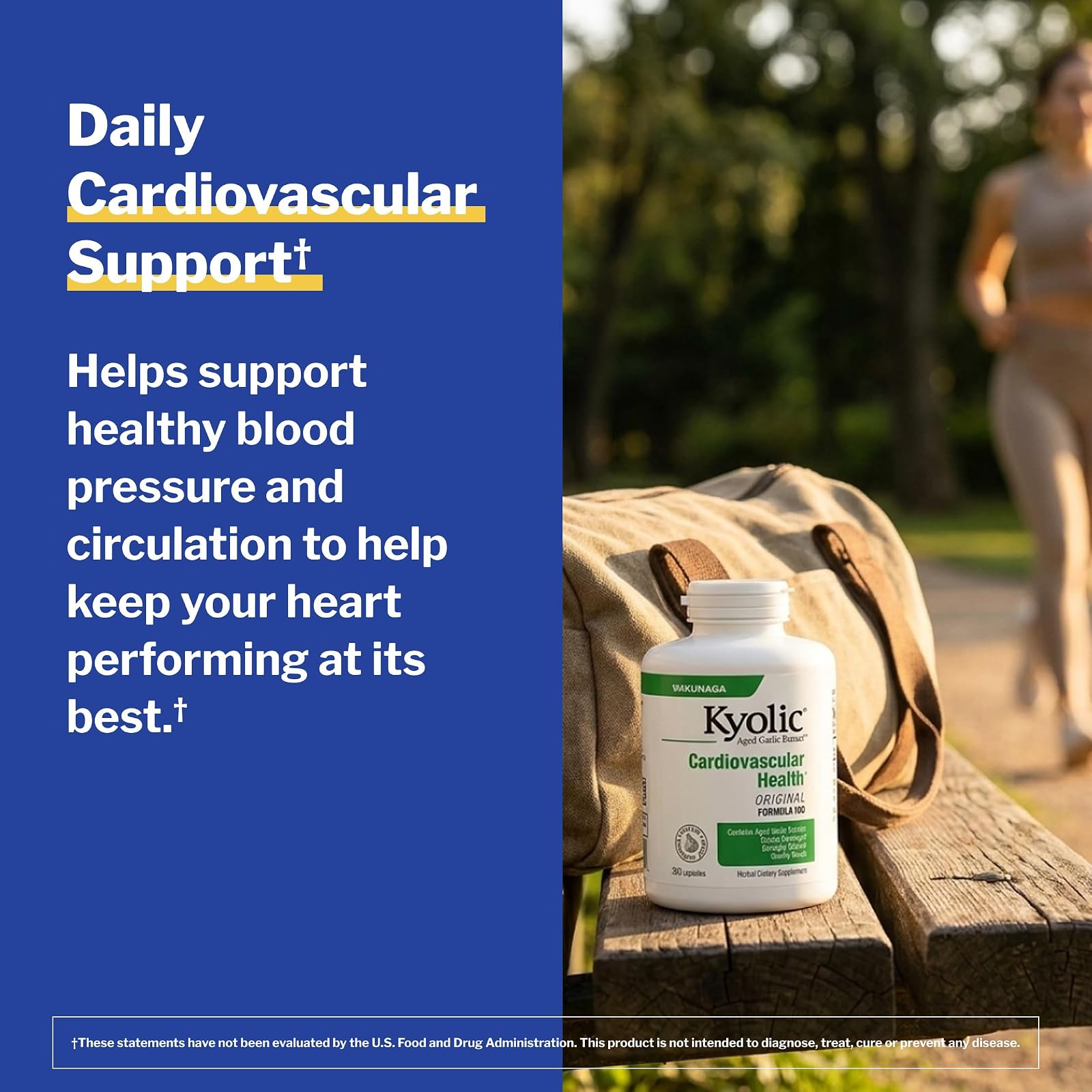 Kyolic garlic extract immune support