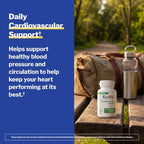 Kyolic garlic tablets for immune support