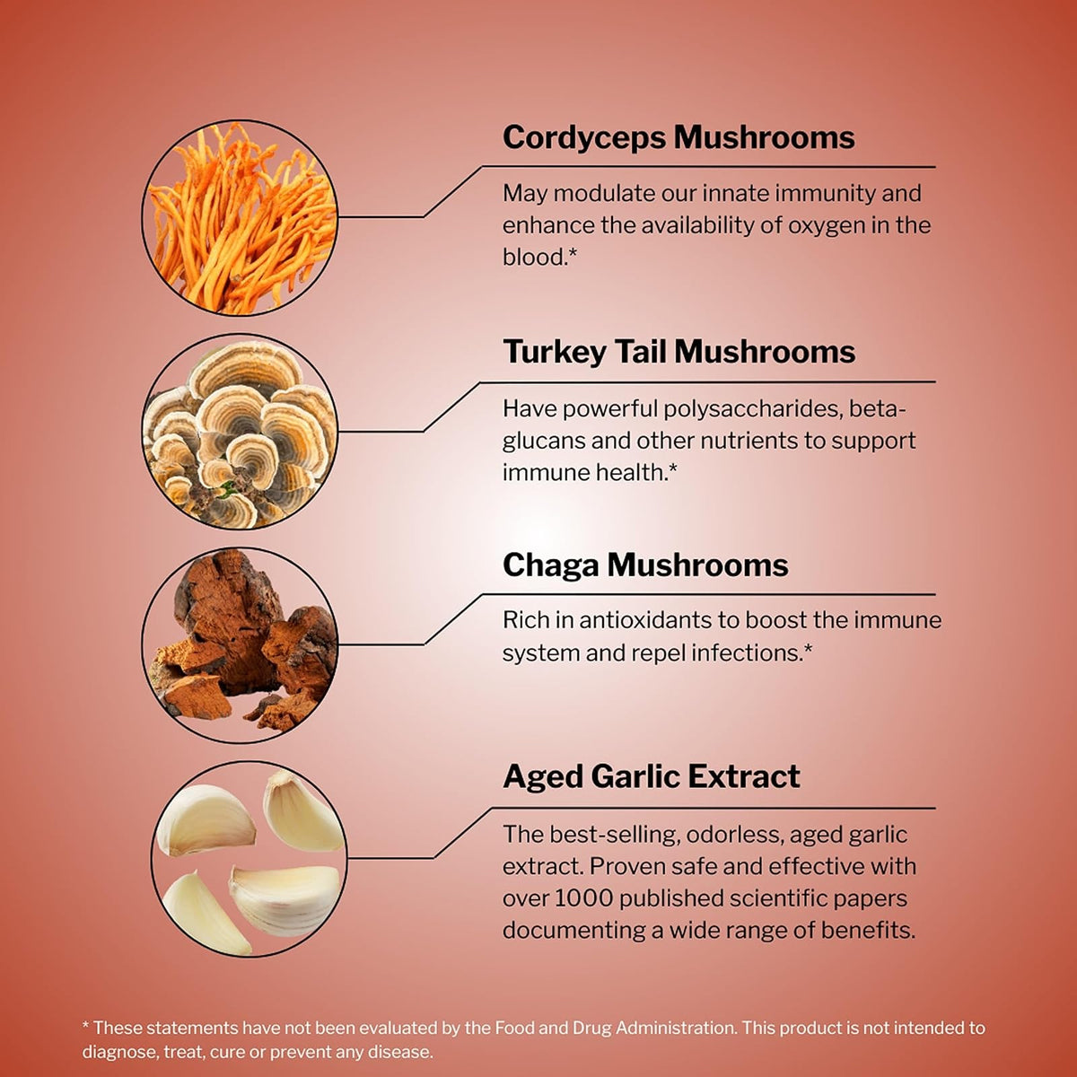 Kyolic Immune Mushrooms+ 120 capsules for health