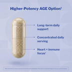 Kyolic multivitamin for men's wellness
