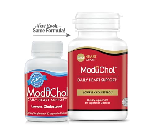 Kyolic multivitamin for seniors daily support