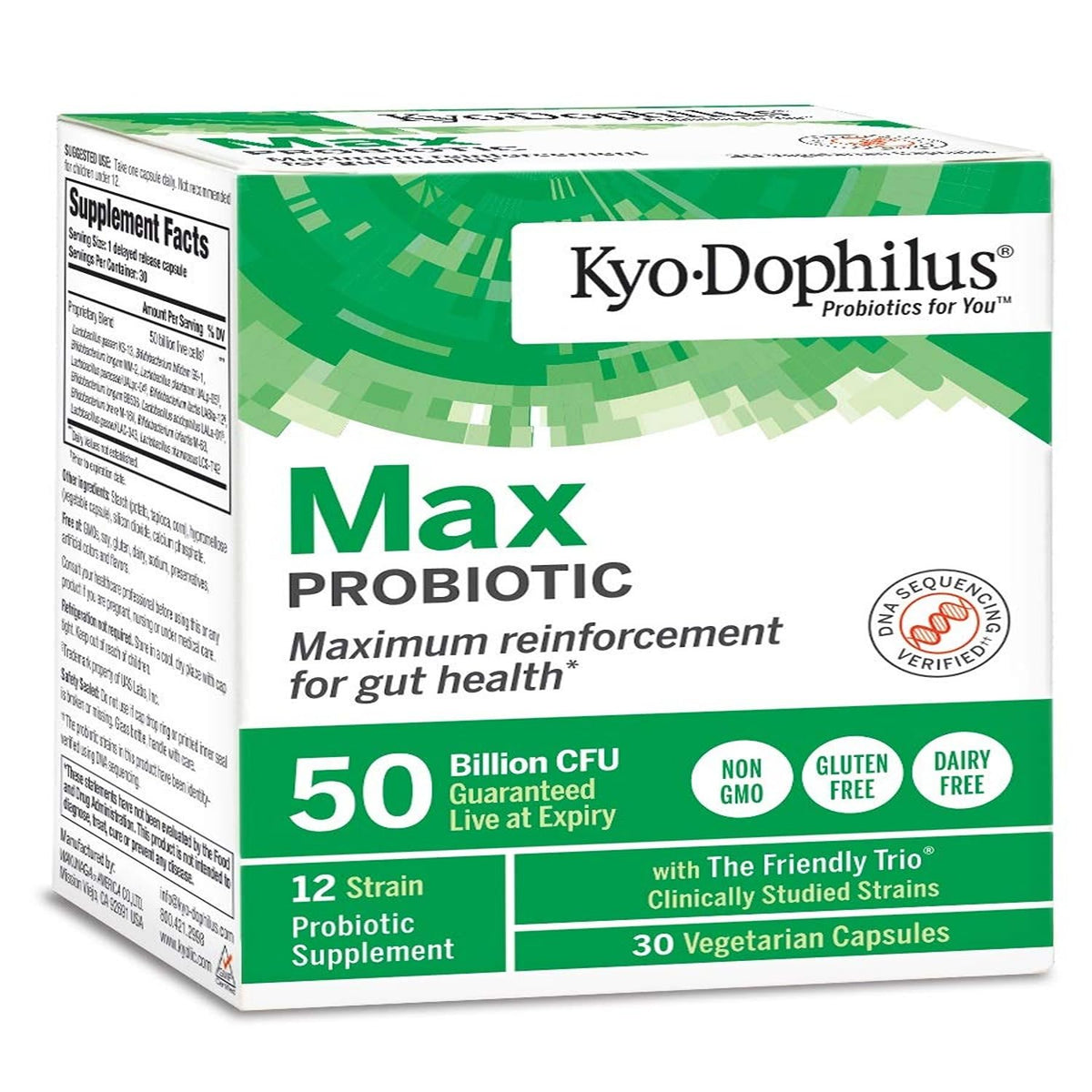 Kyolic probiotics for digestive health