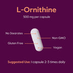 L-Arginine and L-Citrulline synergy