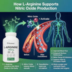 l-arginine for improved circulation