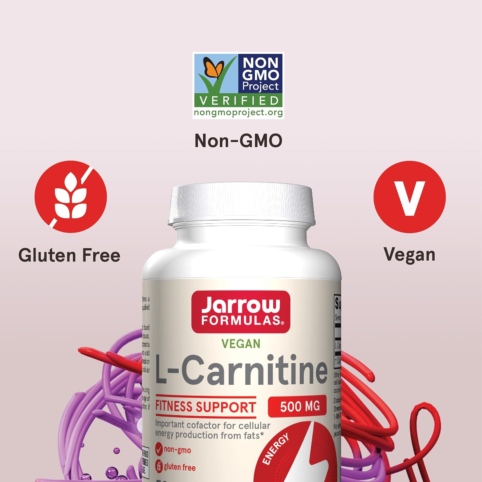 L-Carnitine capsules for muscle recovery