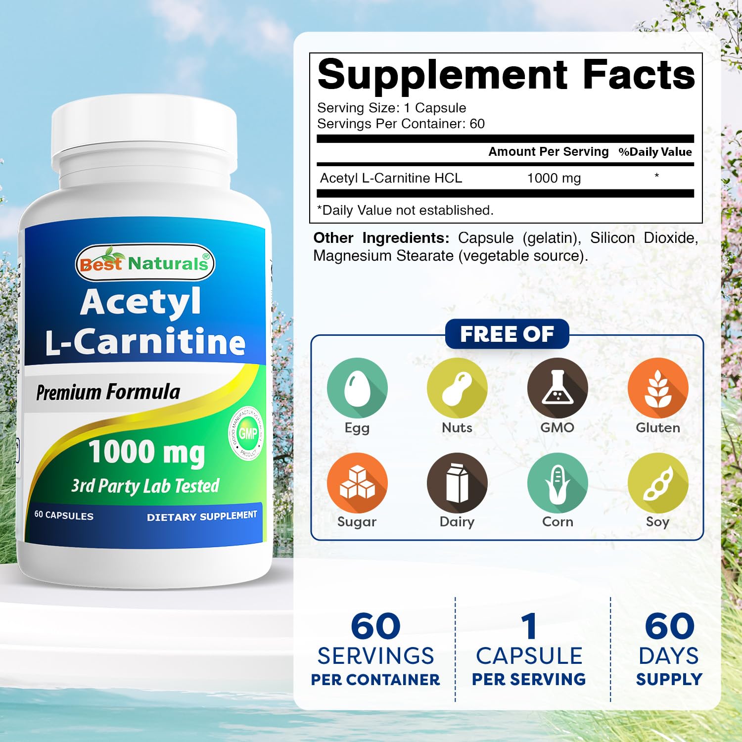 l-carnitine capsules for weight management