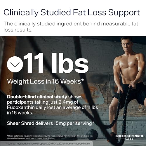 L-Carnitine fat burners for energy