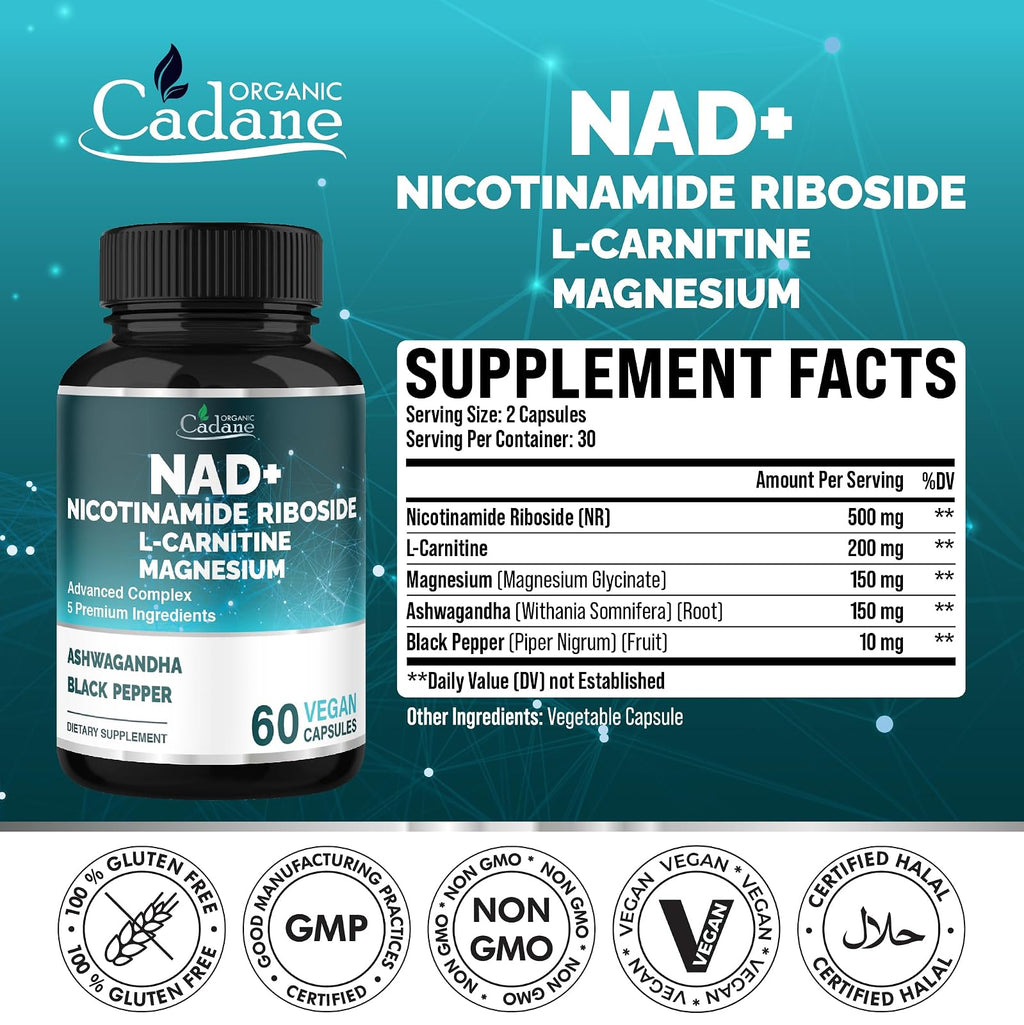 L-Carnitine for energy support