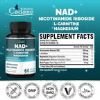 L-Carnitine for energy support