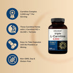l-carnitine for energy support