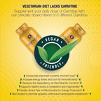 l-carnitine for enhanced athletic performance