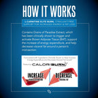 L-Carnitine for enhanced fat burning