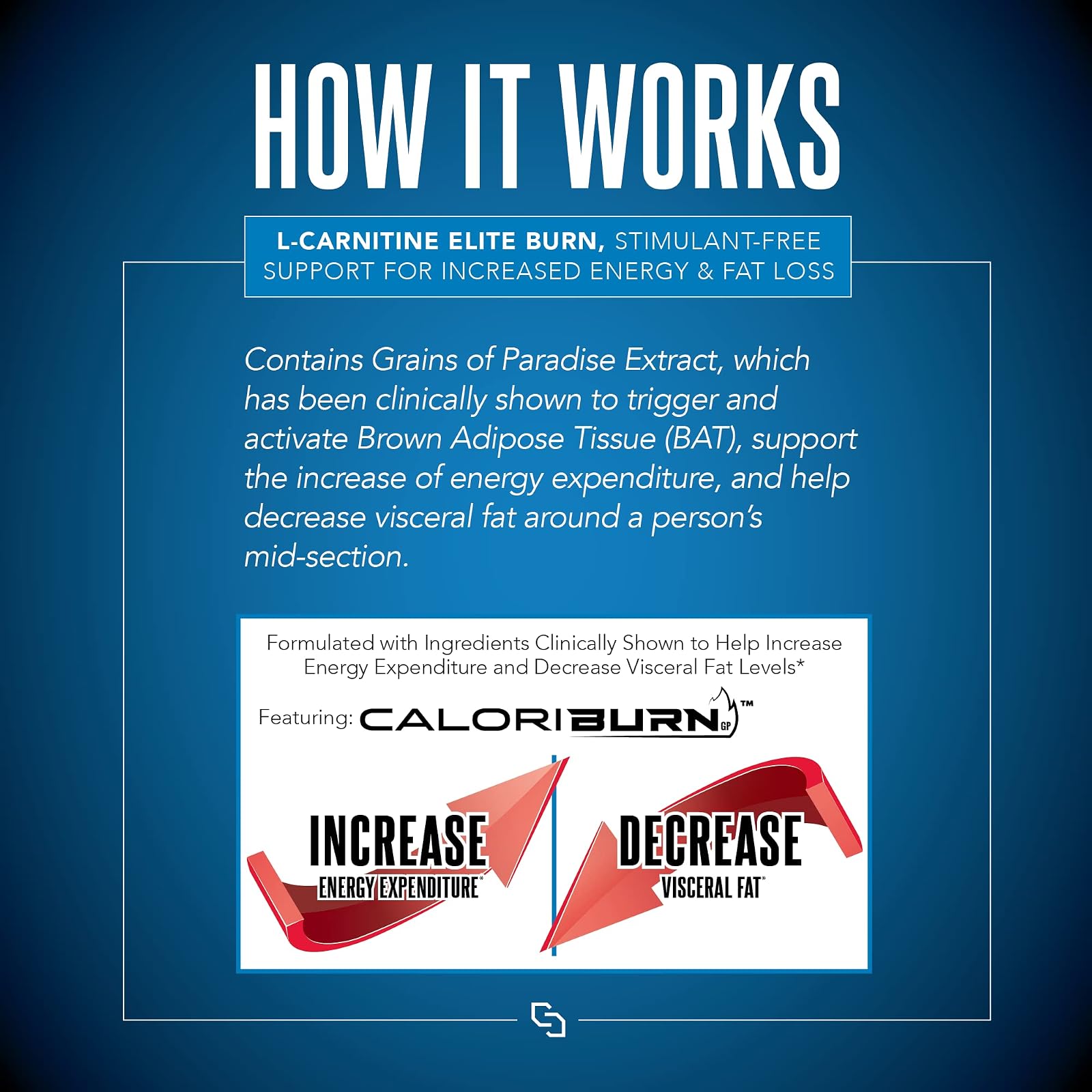 L-Carnitine for enhanced fat burning