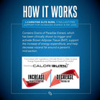 L-Carnitine for enhanced fat loss
