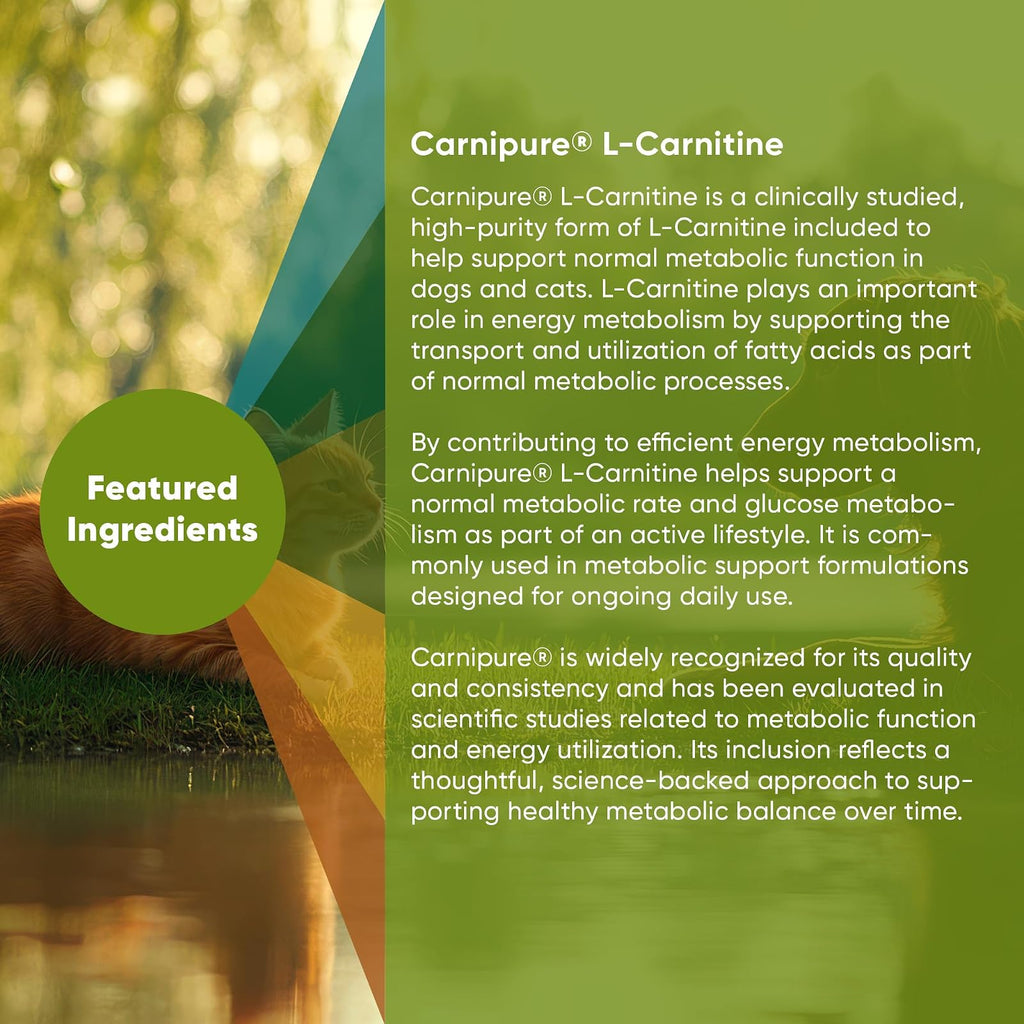 L-Carnitine for enhanced metabolism