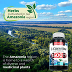 l-carnitine for enhanced metabolism
