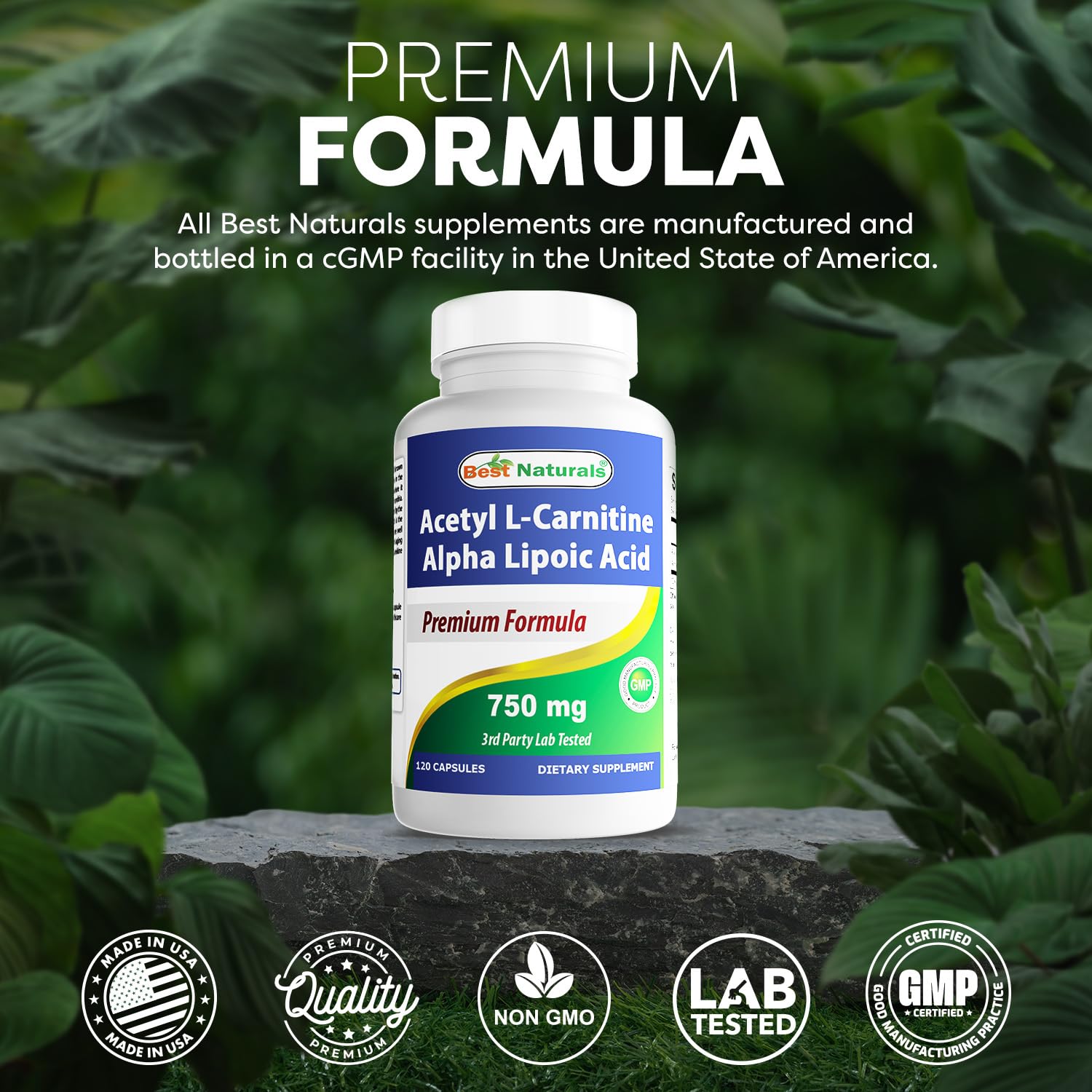 l-carnitine for exercise performance