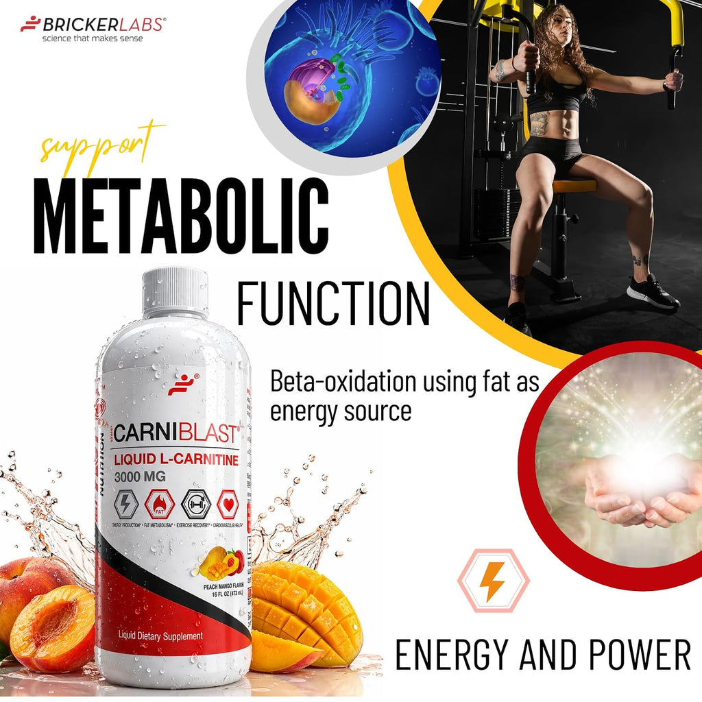 l-carnitine for fat metabolism