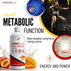 l-carnitine for fat metabolism