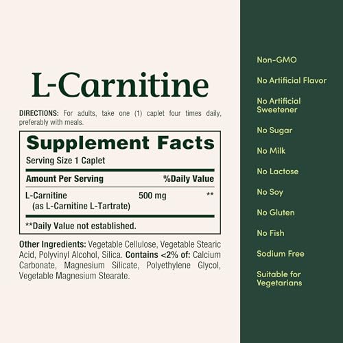 l-carnitine for fitness enthusiasts