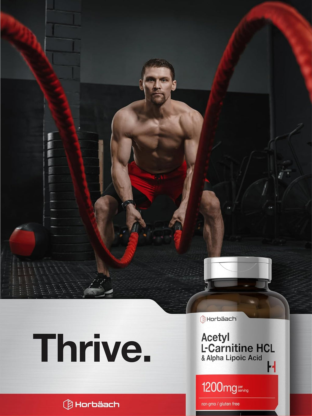 l-carnitine for fitness performance