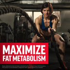 L-Carnitine for improved recovery