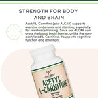 l-carnitine for mental clarity