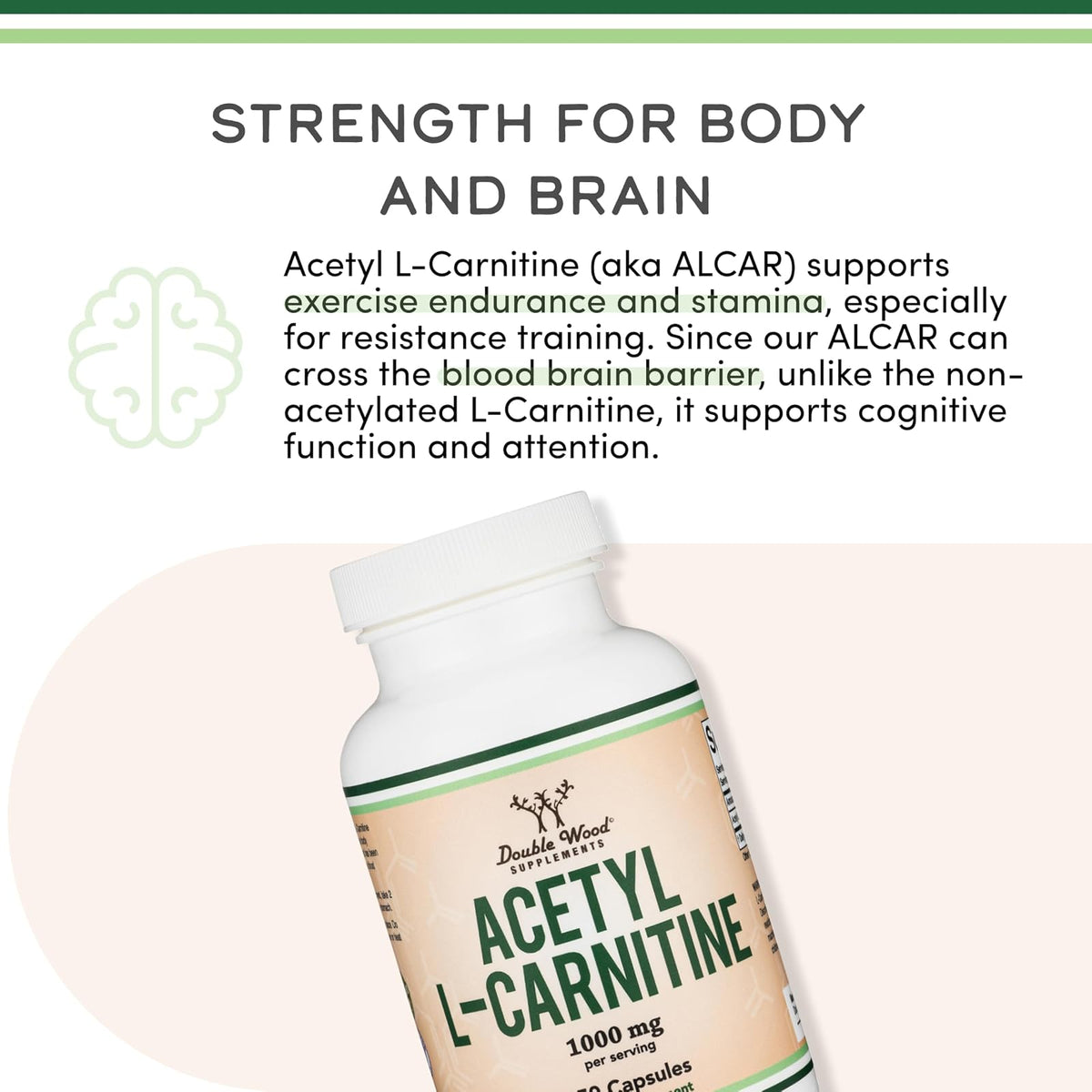 l-carnitine for mental clarity