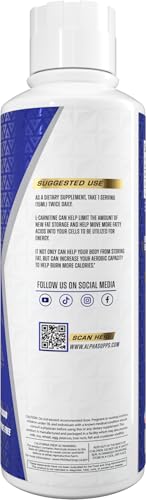 l-carnitine for weight management support