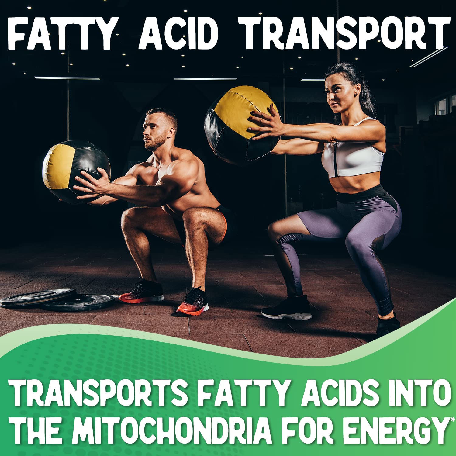 L-Carnitine L-Tartrate for fat loss