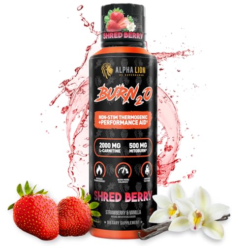 l-carnitine liquid supplement for energy