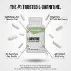 L-Carnitine supplement for muscle recovery