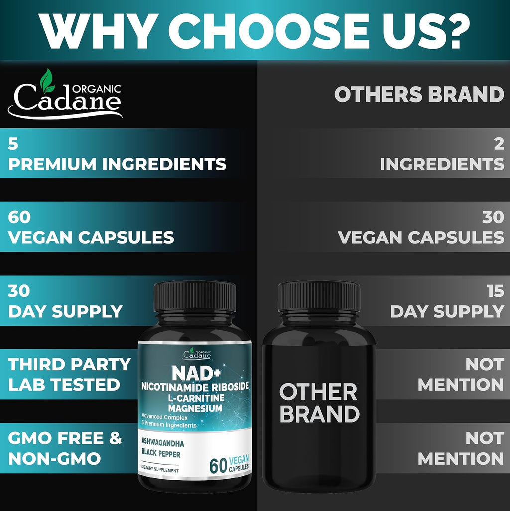 L-Carnitine supplements for weight management