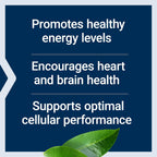 L-Carnitine supports fat metabolism