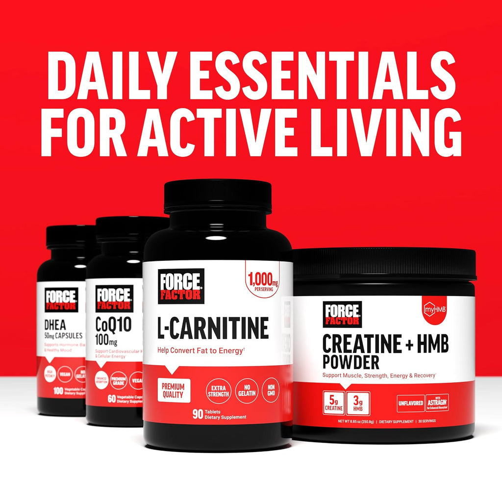 l-carnitine tartrate promotes endurance