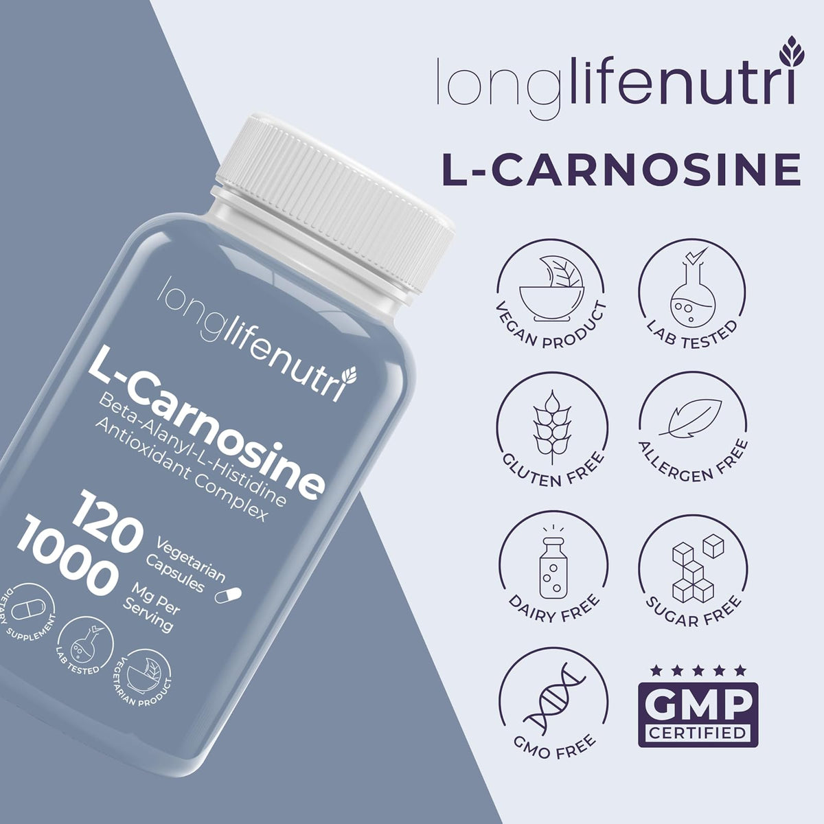 L-Carnosine vegetarian capsules for daily nutrition