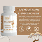 L-Ergothioneine for enhanced vitality