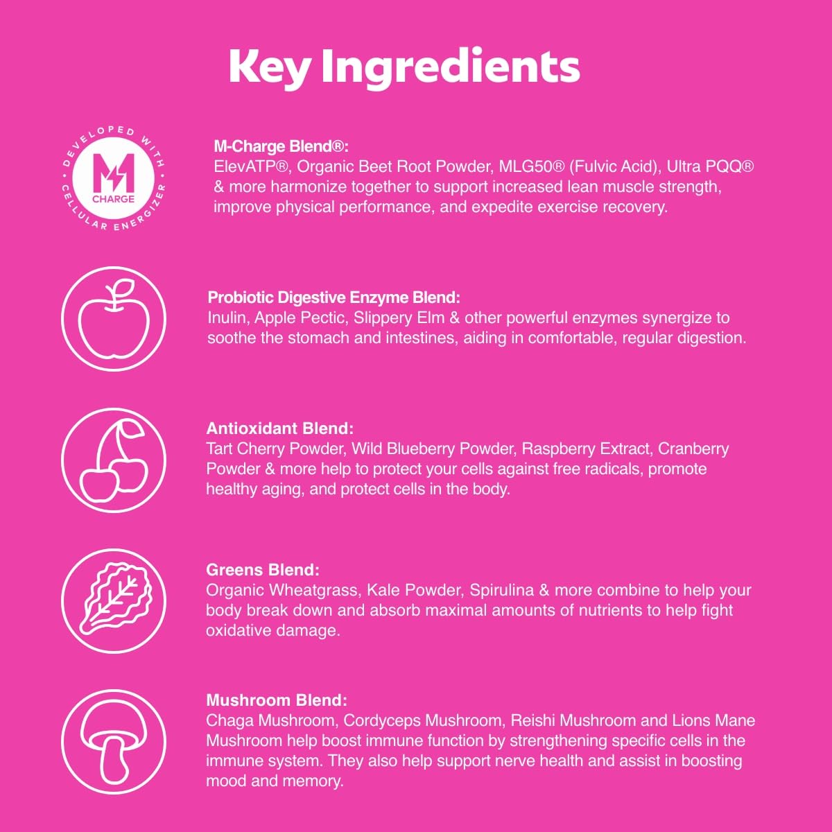 L'Evate Daily Greens Powder for wellness