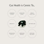 L-Glutamine and probiotics for wellness