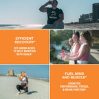 L-Glutamine benefits in BCAA formula