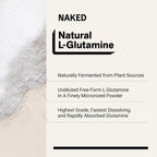 l-glutamine for digestive health
