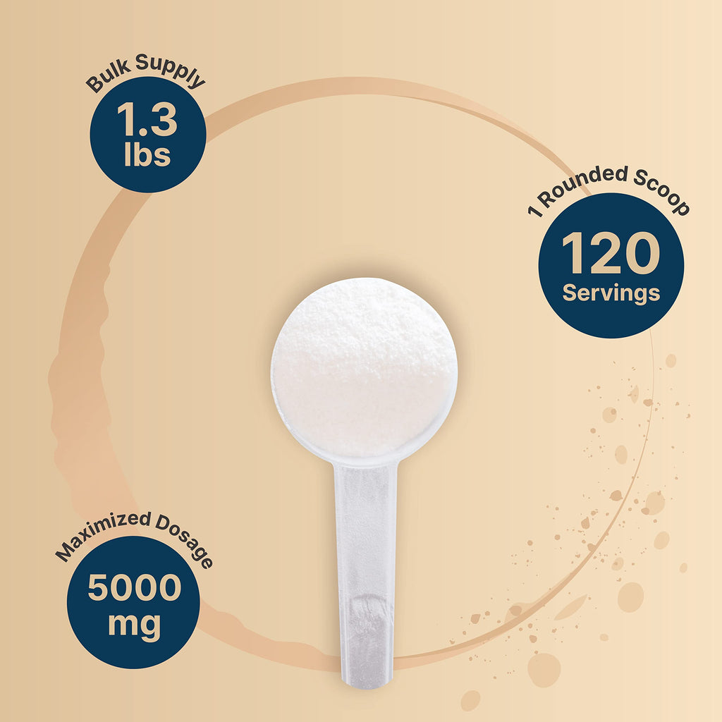 l-glutamine health benefits for immunity