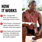 l-glutamine powder for digestive health