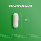 l-glutamine powder for workout support